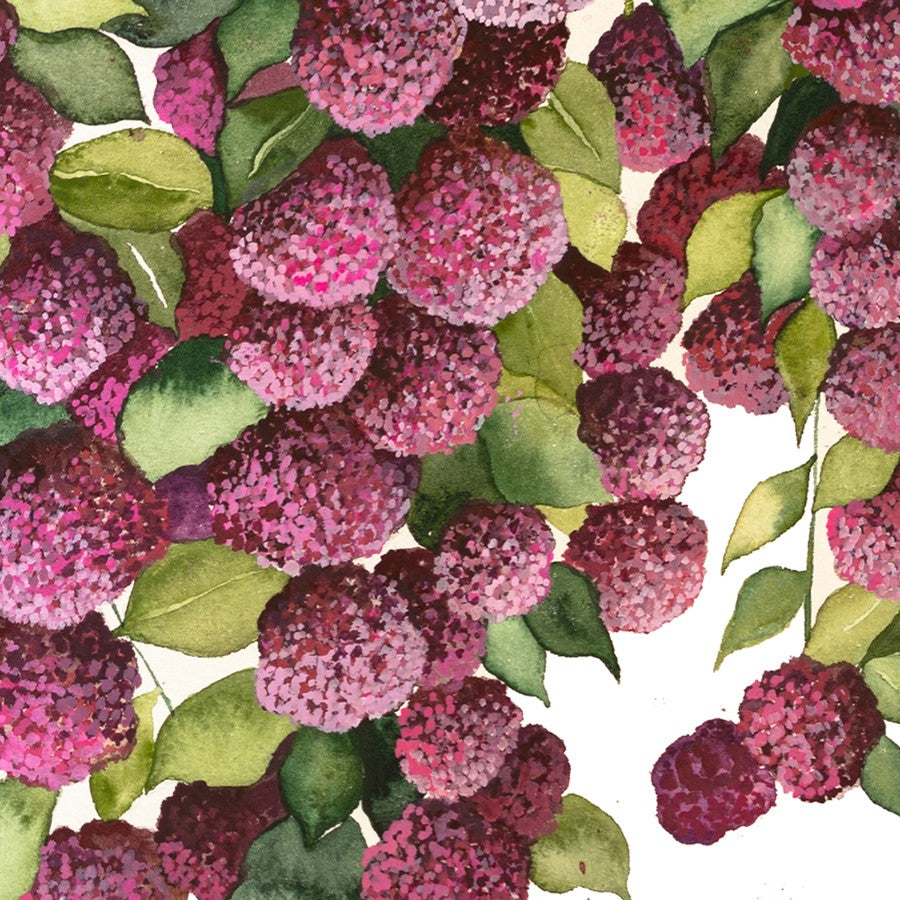 Falling Hydrangeas Landscape – Leden Design