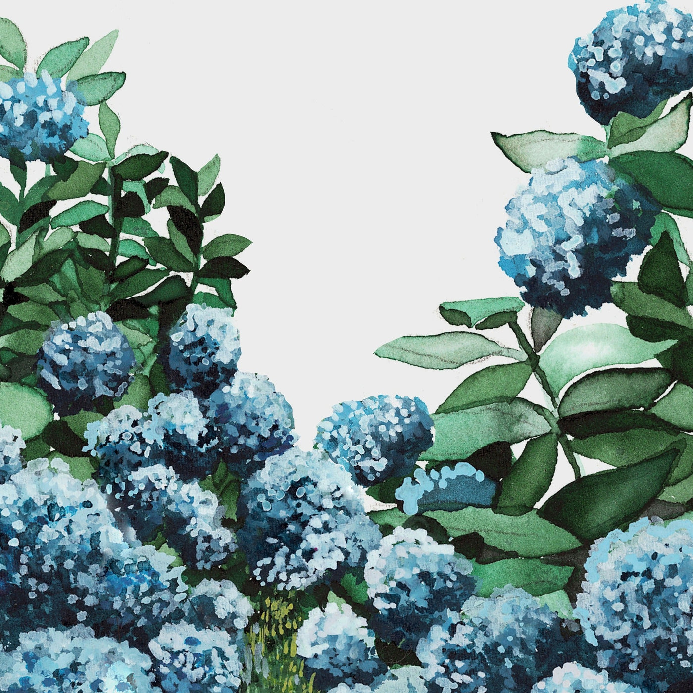Hydrangea Landscape – Leden Design