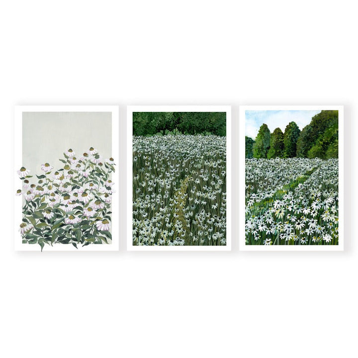 Daisy Fields Triplet – Leden Design