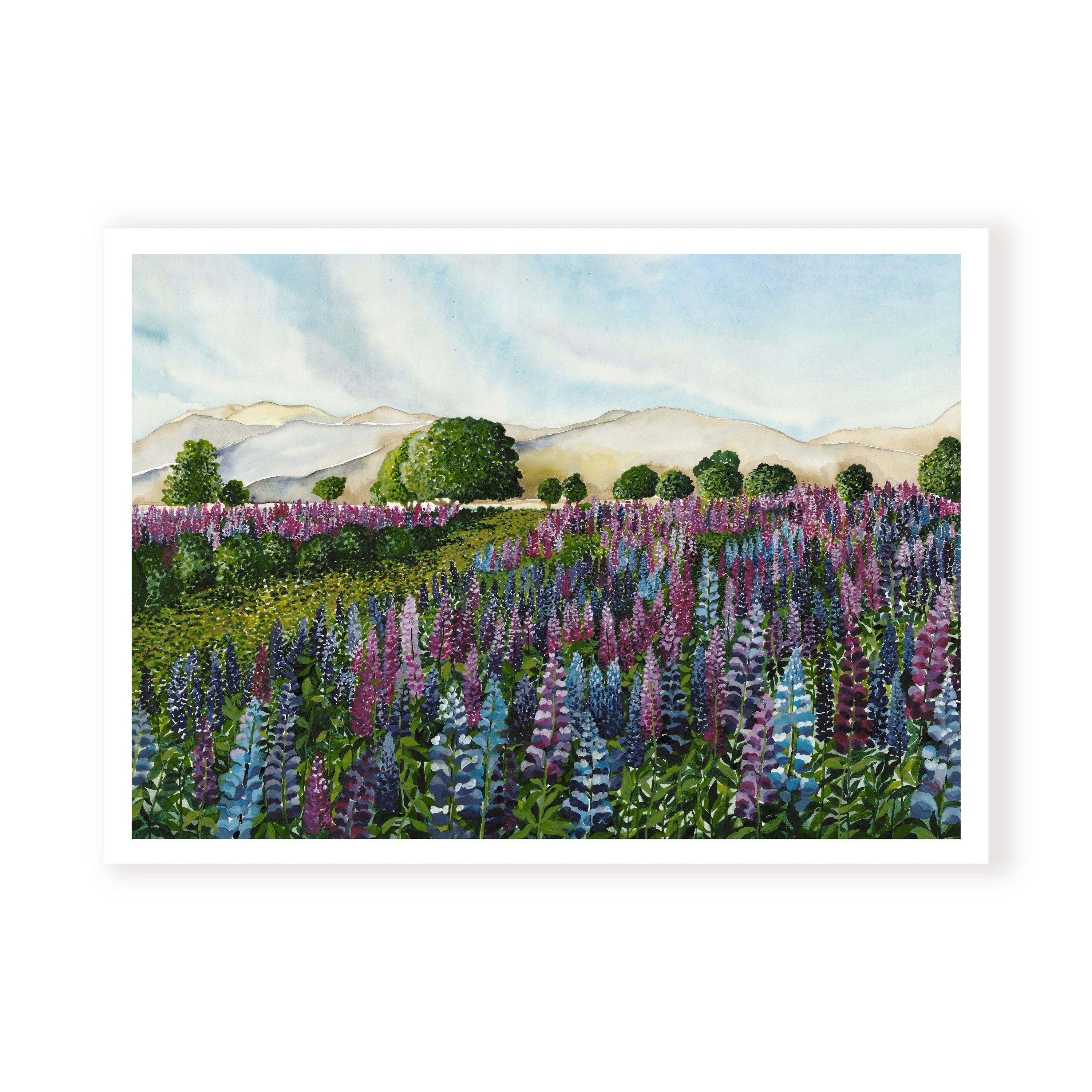 Lupin Fields Landscape – Leden Design