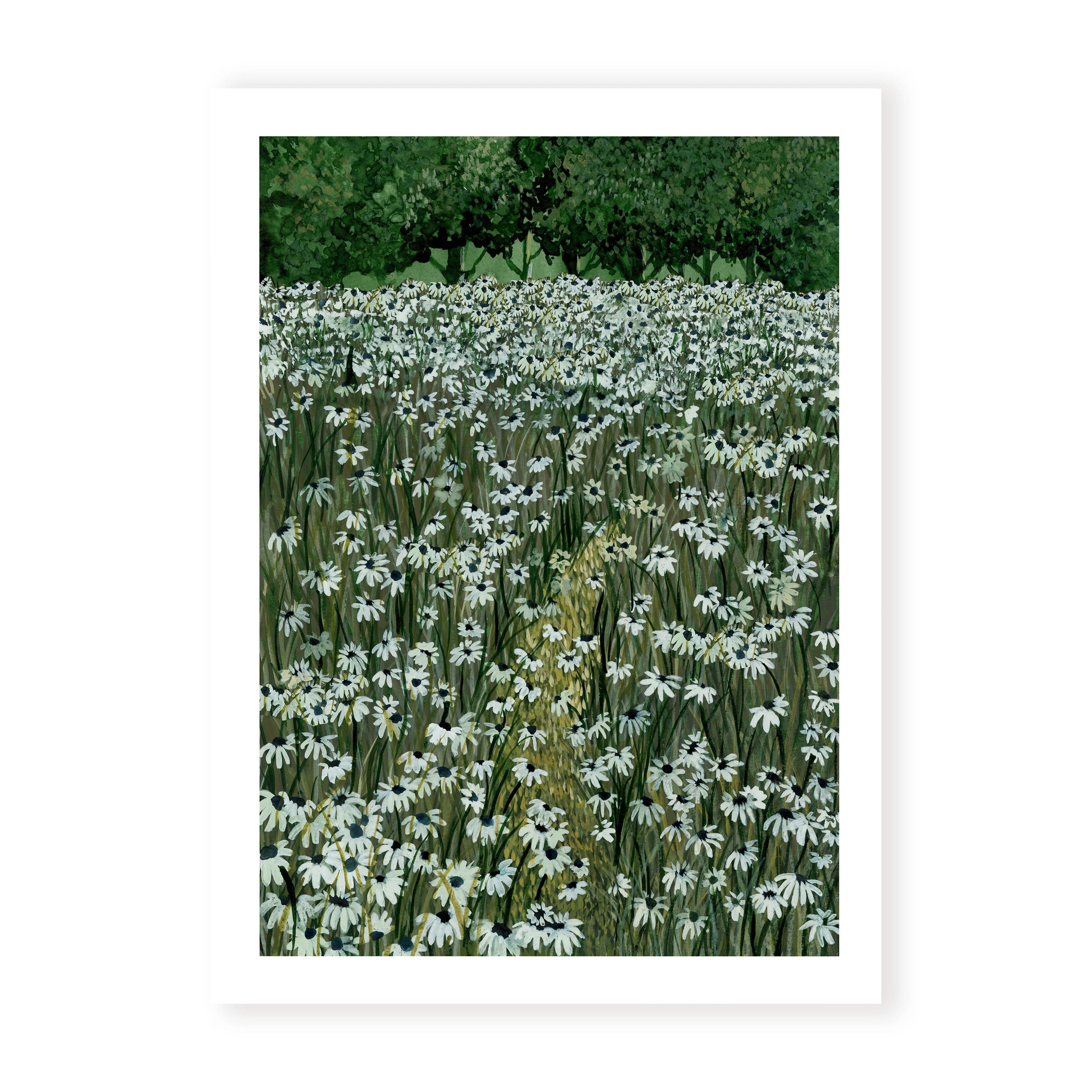 Daisy Meadow – Leden Design