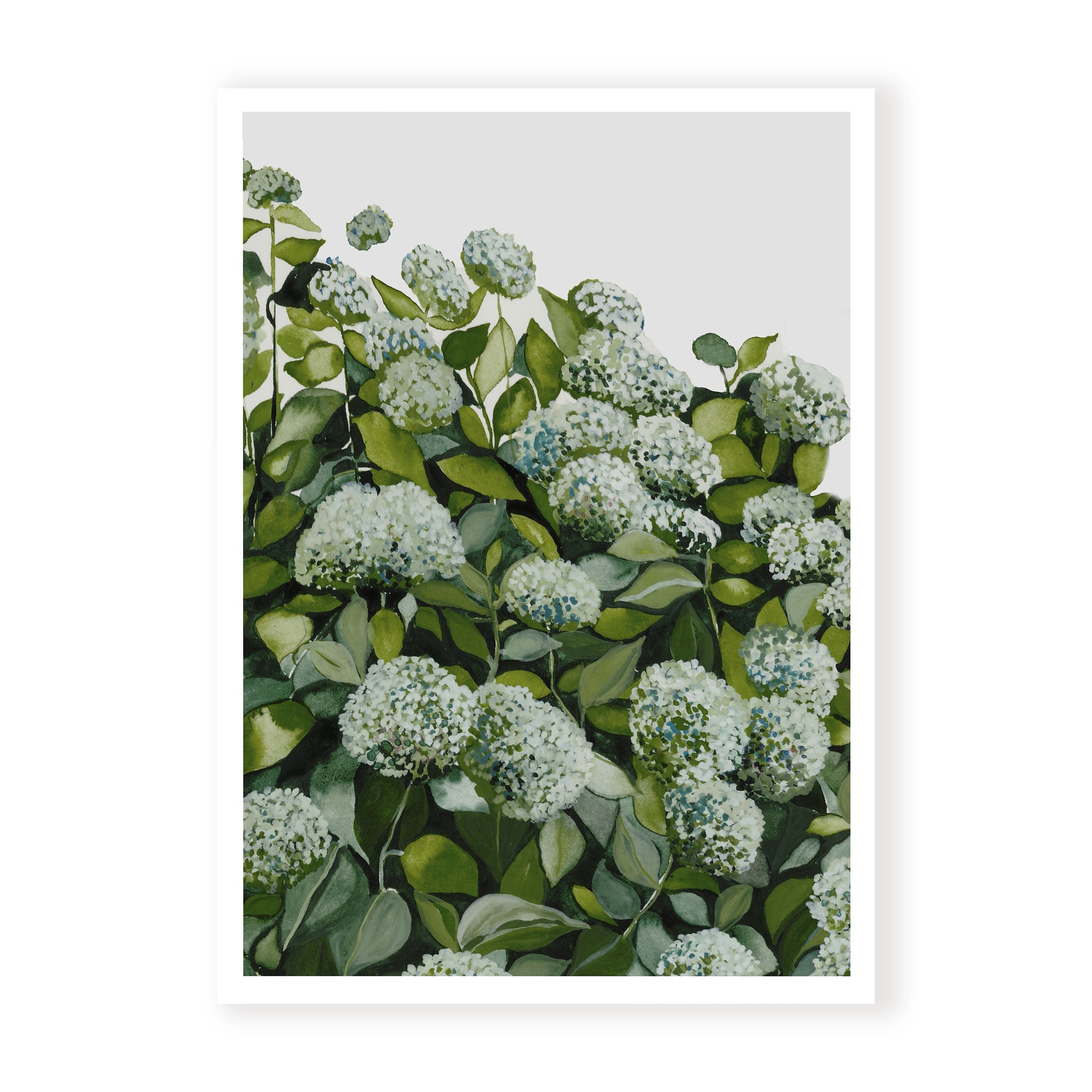 Sage Hydrangea I – Leden Design
