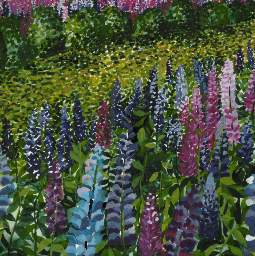 Lupin Fields Landscape – Leden Design
